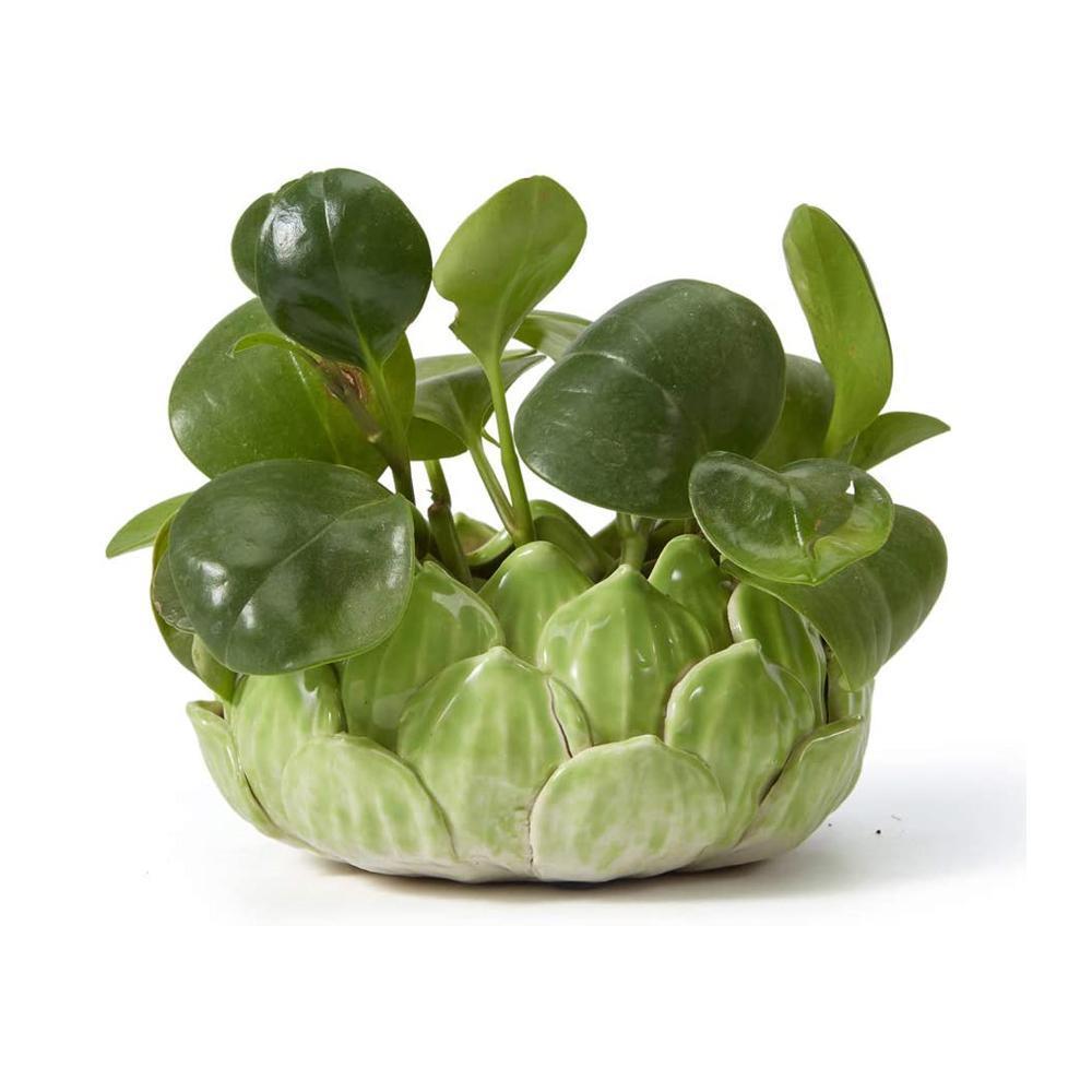 Top 10 Custom Plant Pots: Add Personality to Your Plants