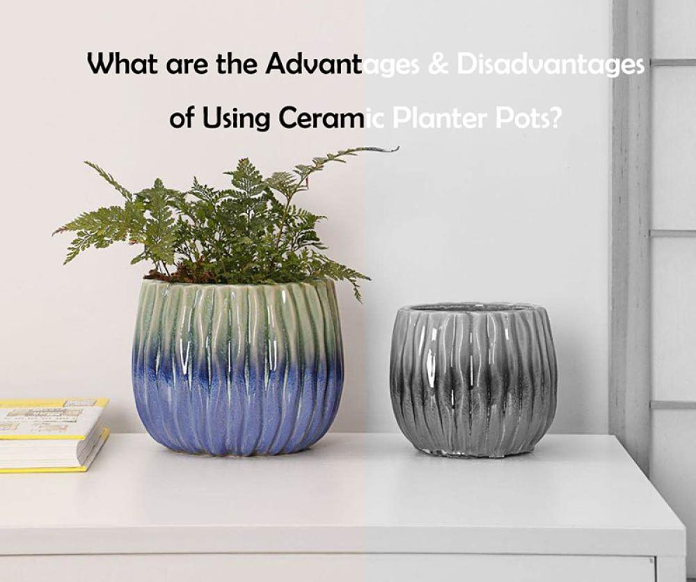 What are the Advantages & Disadvantages of Using Ceramic Planter Pots?